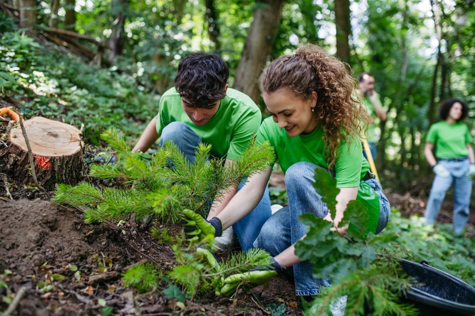 Why Nonprofits Must Evolve—Or Risk Losing Their Most Valuable Assets ...